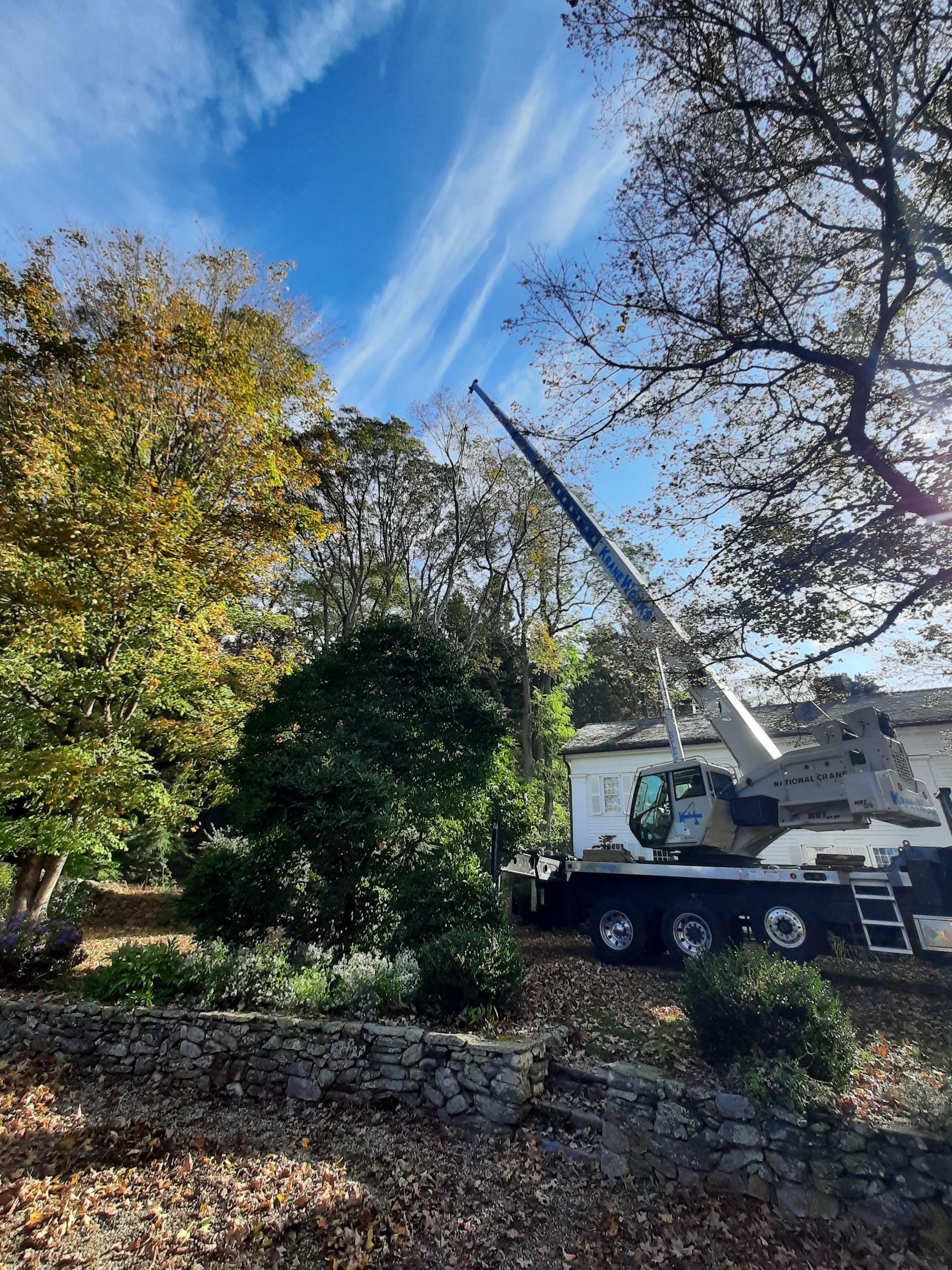 Affordable Tree Service | Southbury, CT | Bob's Tree Service