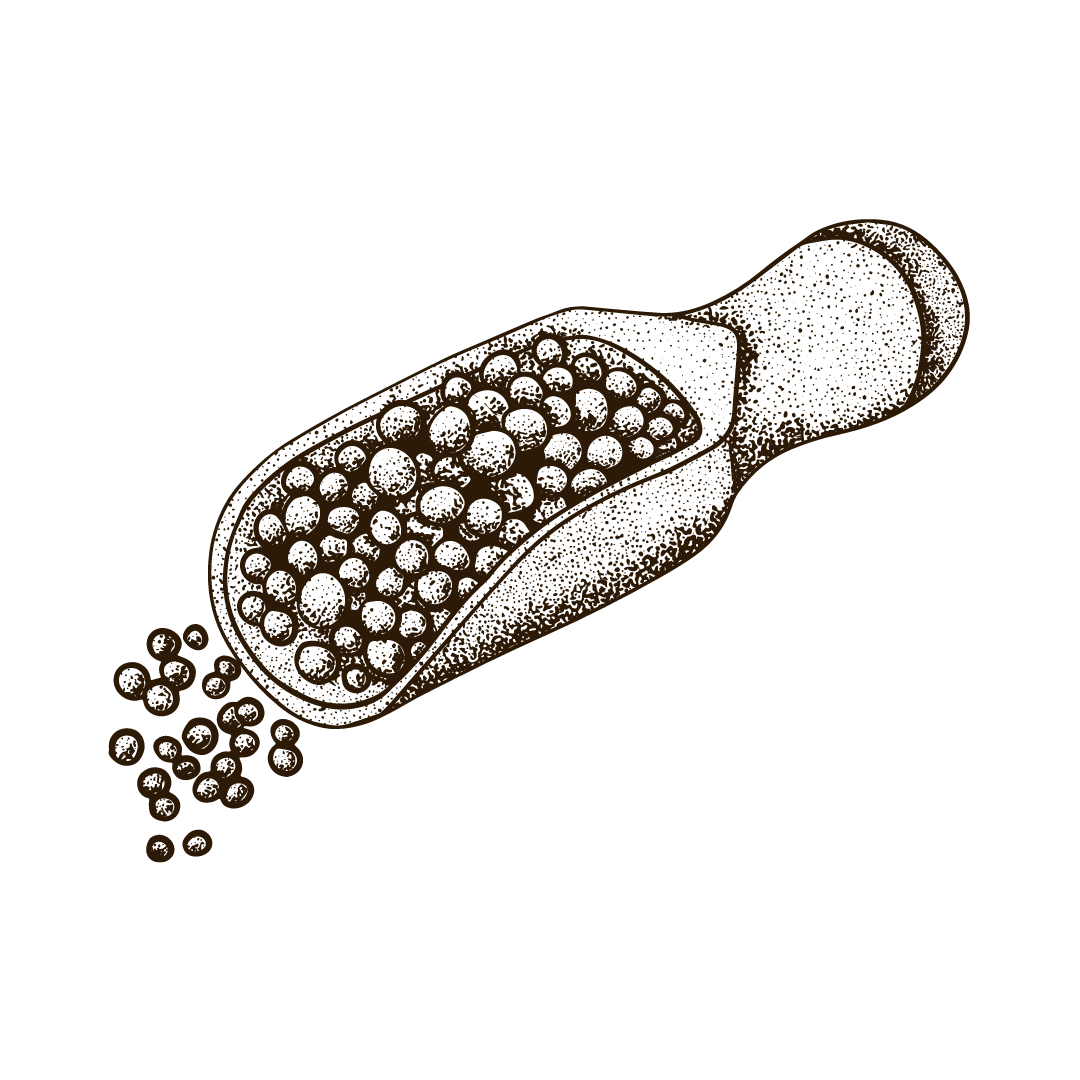 Menu| Monsoon Restaurant