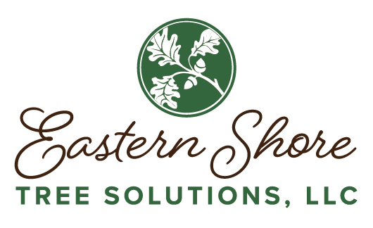 Eastern Shore Tree Solutions | Tree Services