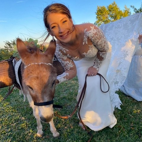 Dallas Fort Worth Wedding Donkey Beer Burros | Darlin Donkeys Events