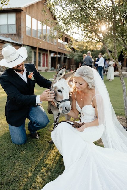 Dallas Fort Worth Wedding Donkey Beer Burros | Darlin Donkeys Events