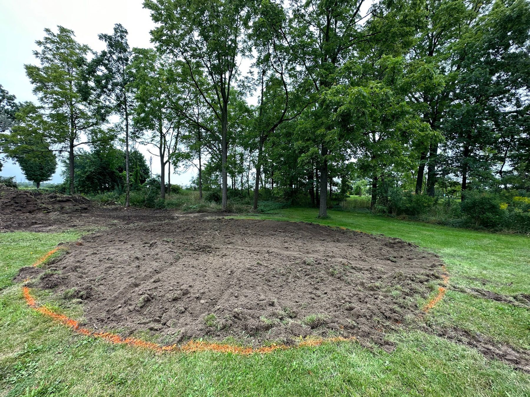 Oakvillegreen Conservation Association | Mini Forests