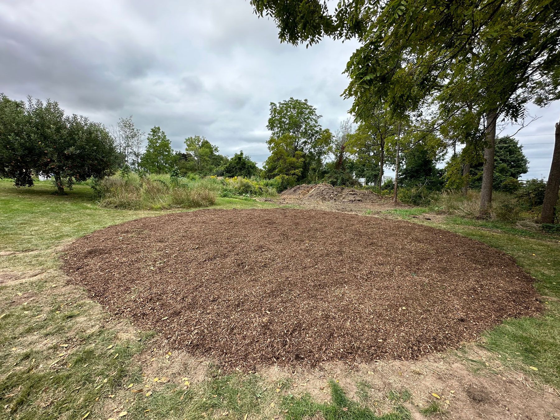 Oakvillegreen Conservation Association | Mini Forests