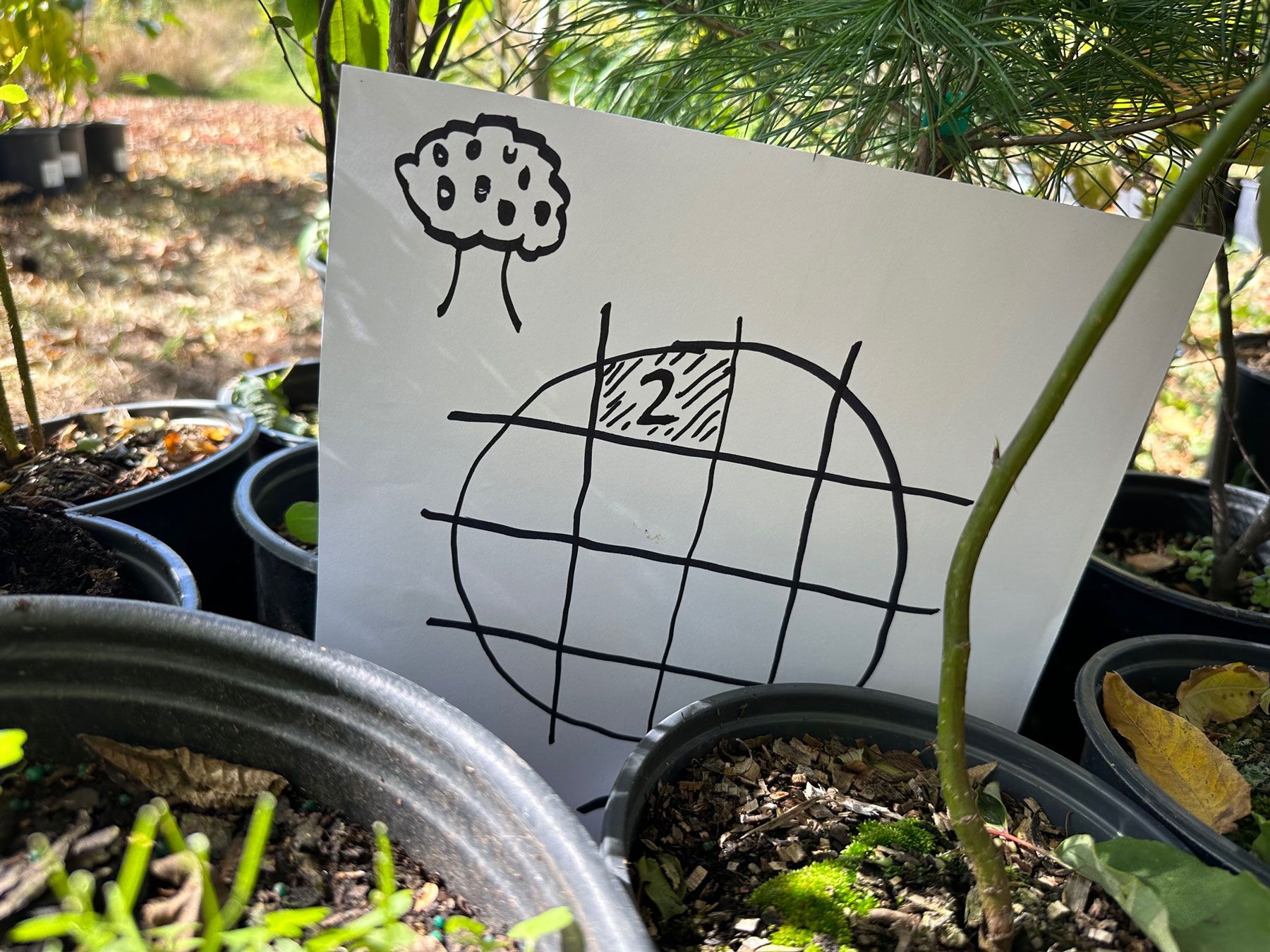 Oakvillegreen Conservation Association | Mini Forests