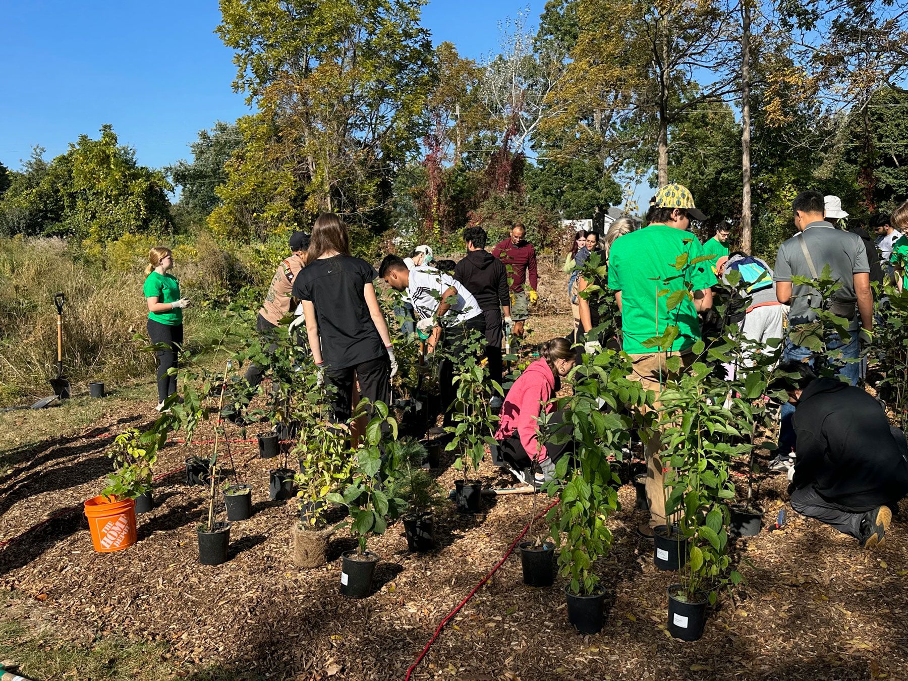 Oakvillegreen Conservation Association | Mini Forests