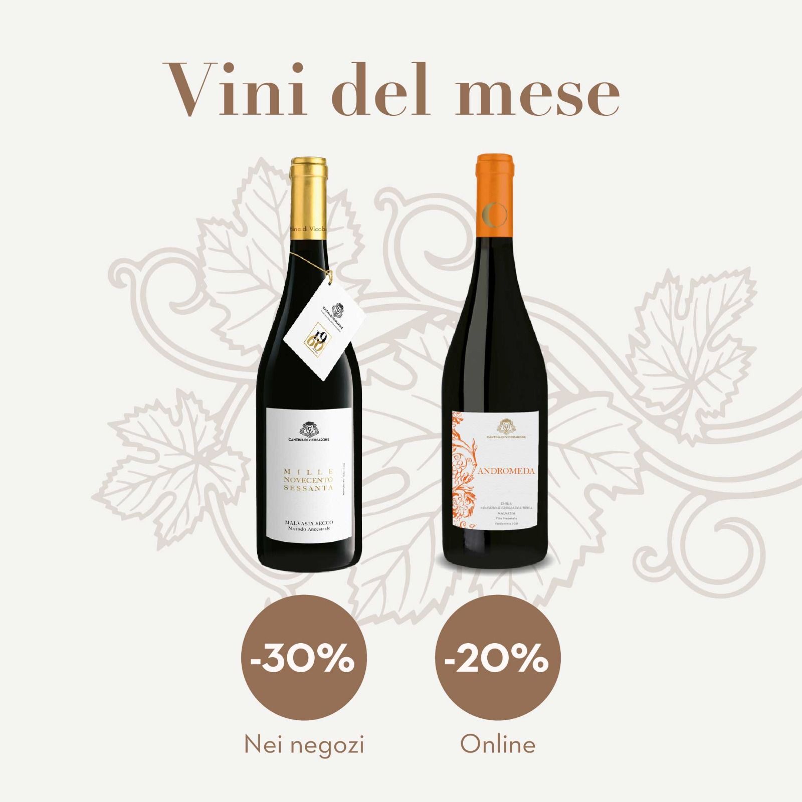 🌹 🍷 Promo di Febbraio 🍷 🌹