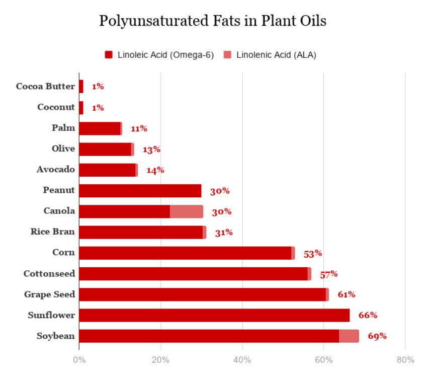 Eight Toxic Seed Oils: What You Need to Know
