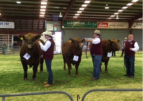 Aussie Rural Online Shop - Home