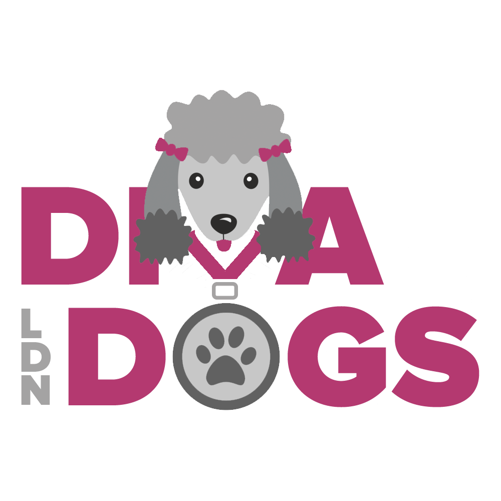 Contact Us | Diva Dogs London