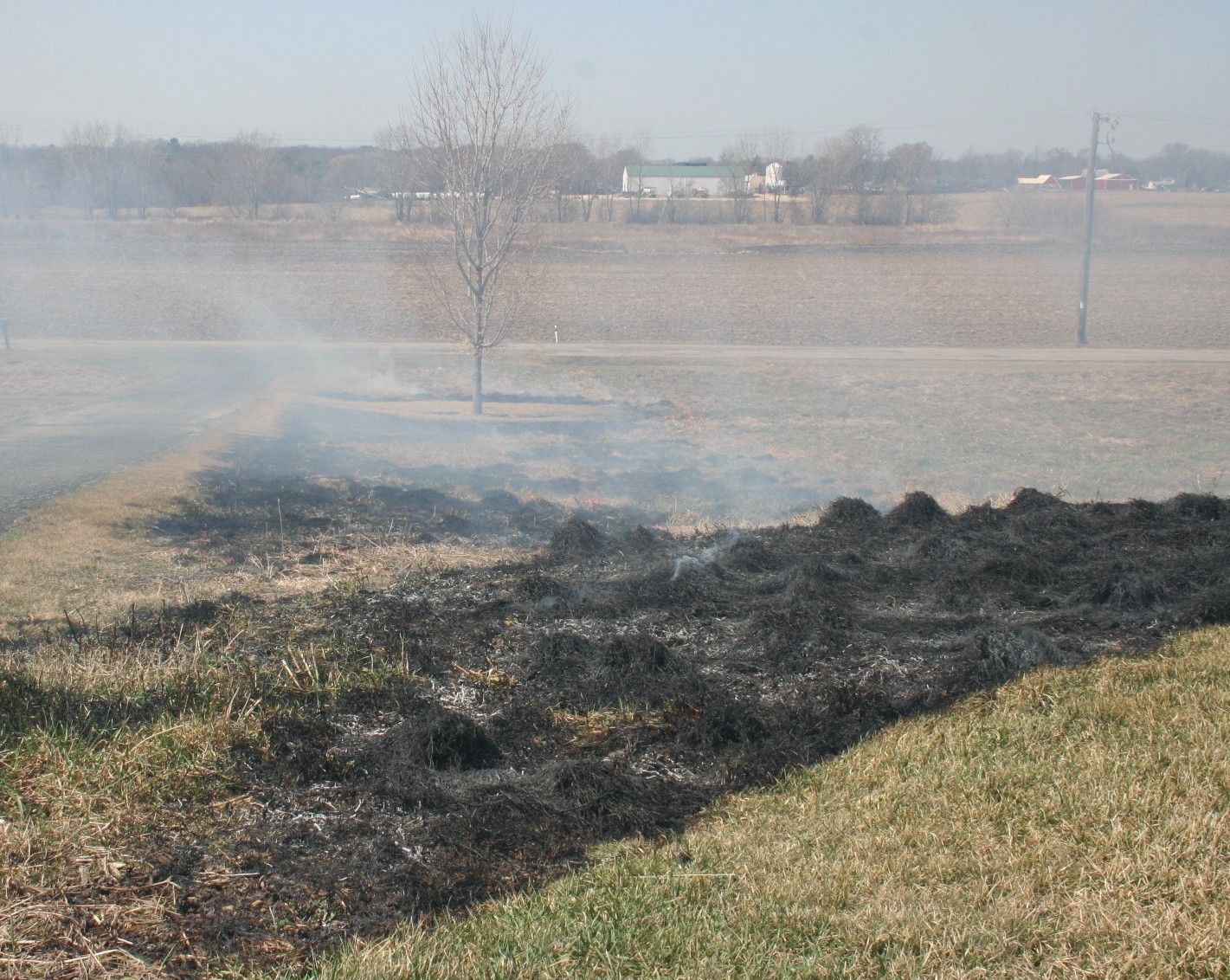 Additional Tips & Photos on the Formecology Prescribed Prairie Burn!