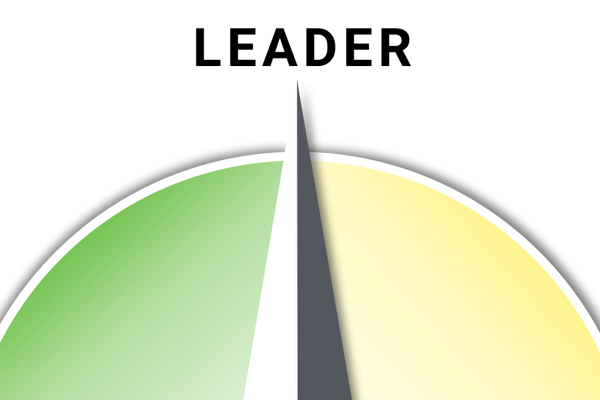 Leadership Compass | Agile Leadership Journey