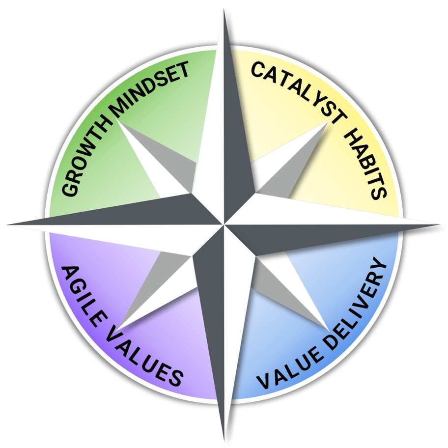 Leadership Compass | Agile Leadership Journey