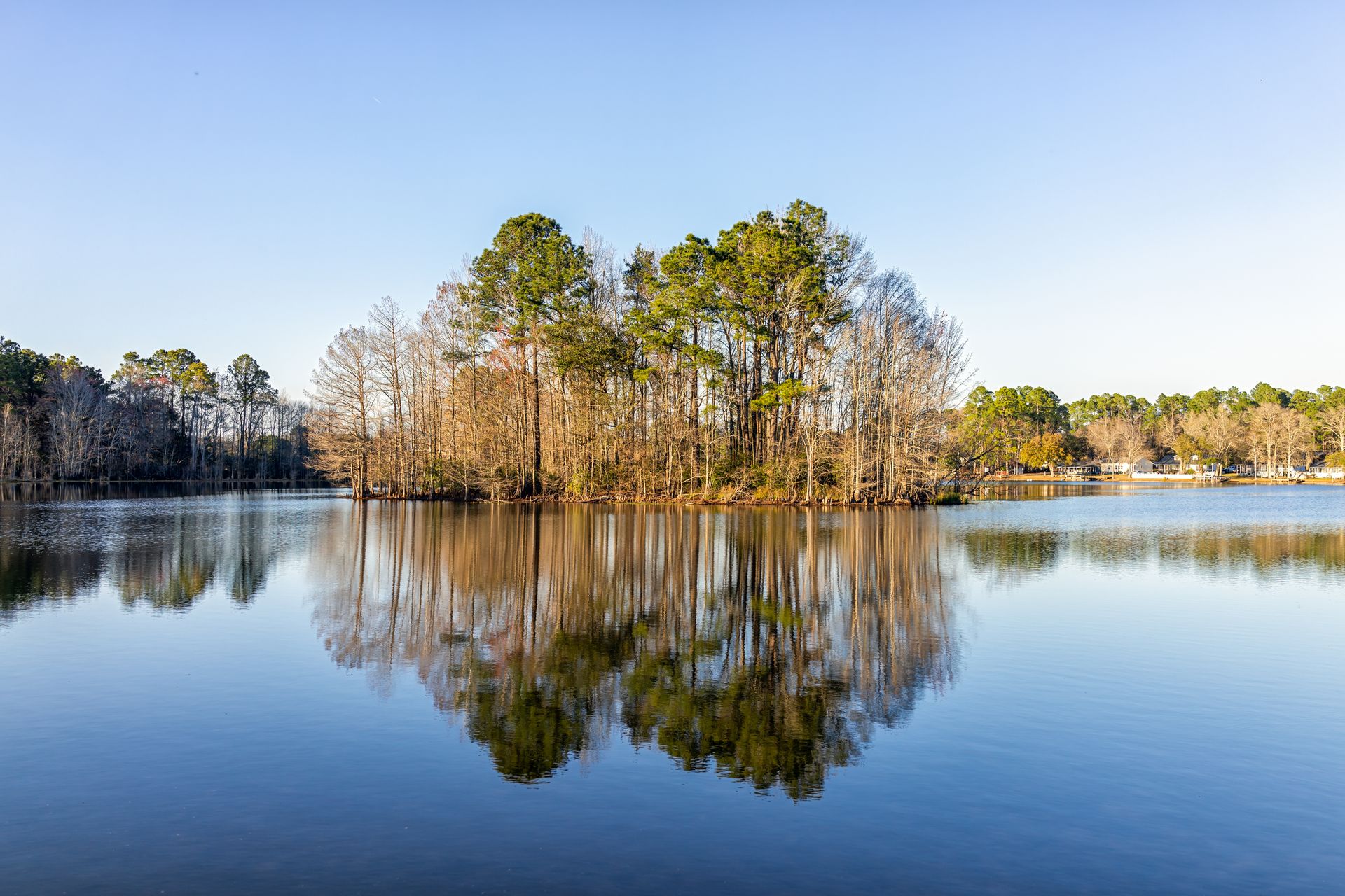 Things to Do near the Santee Cooper Lakes