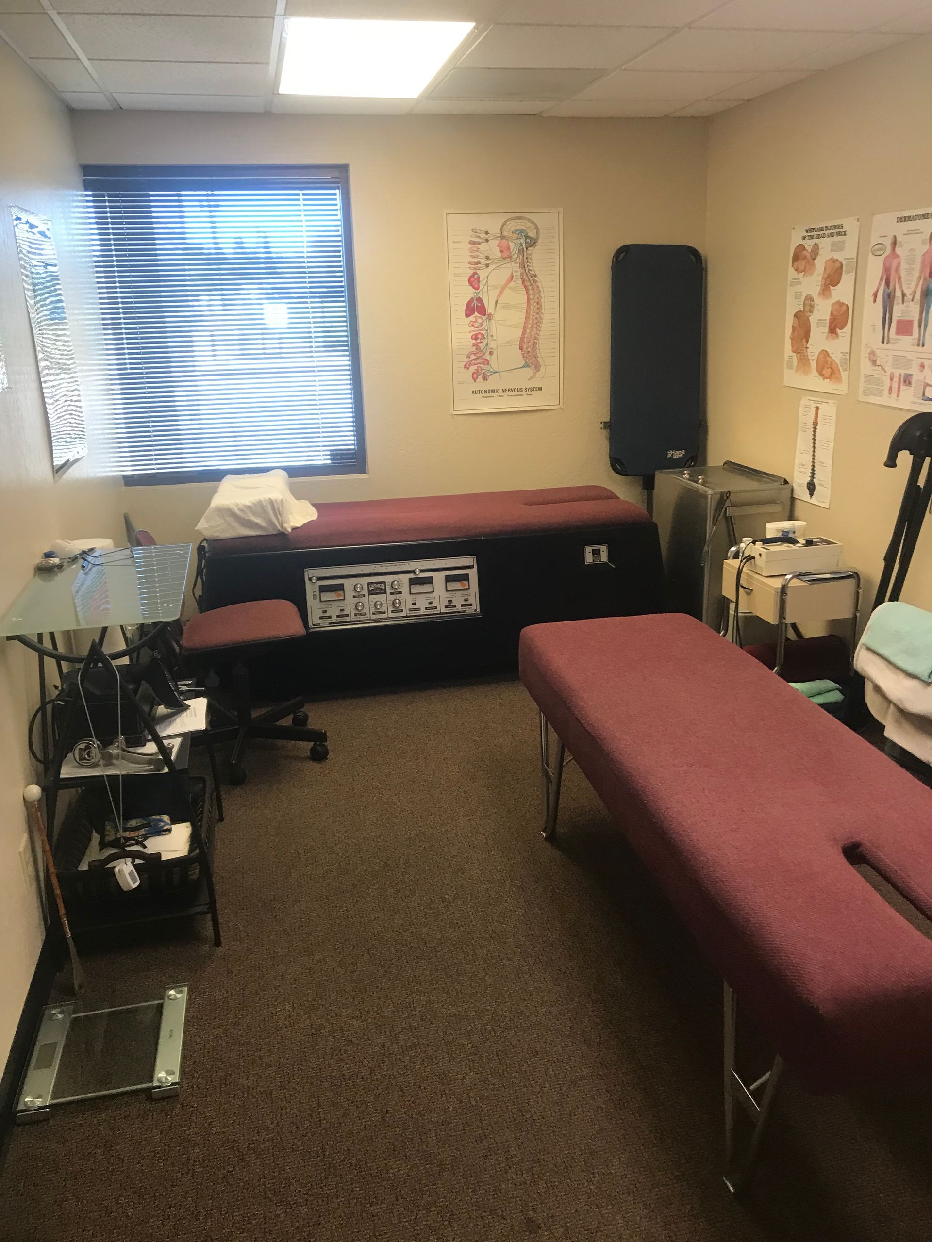 Chiropractor | Reno, Nevada | Mt. Rose Chiropractic