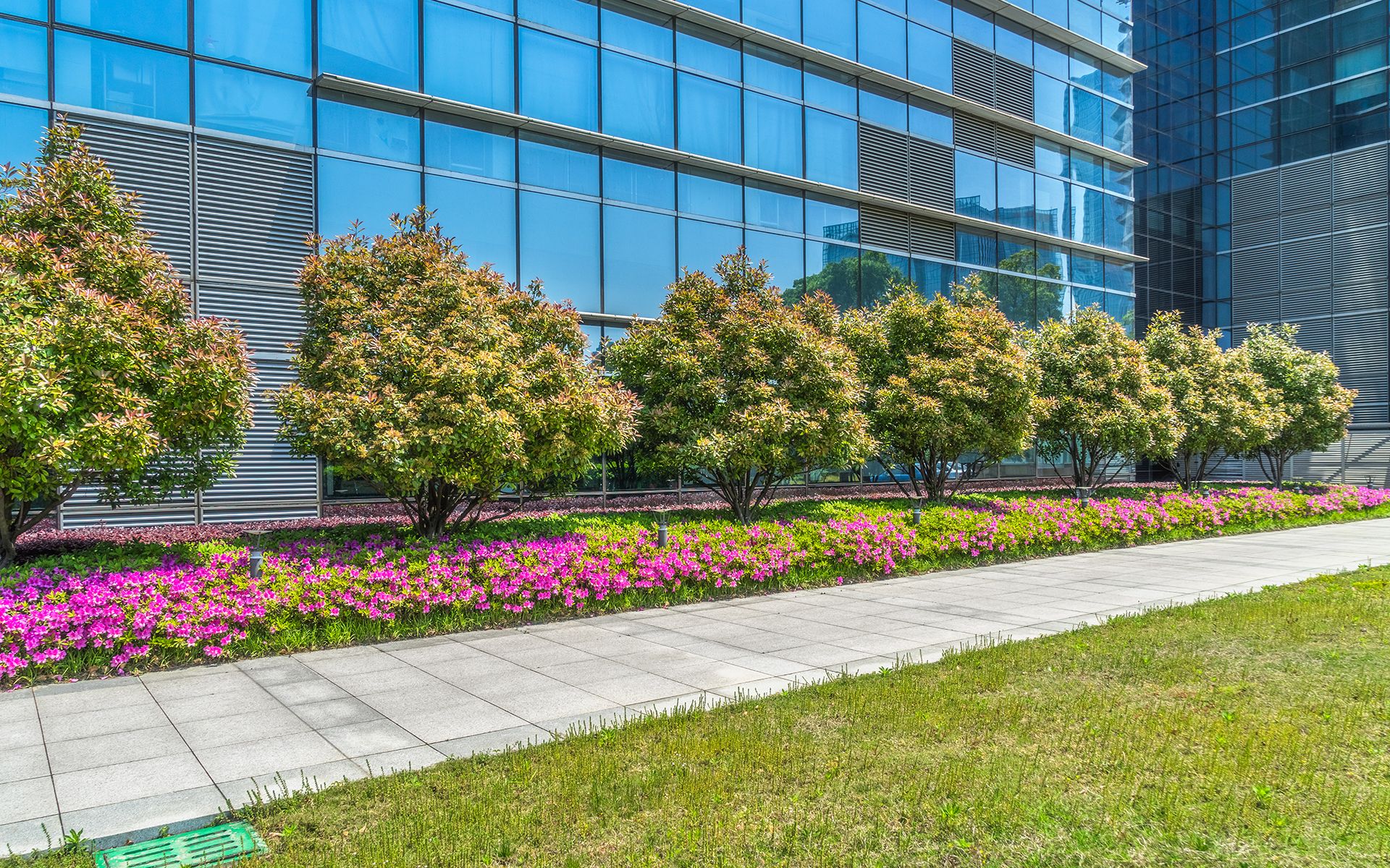 Commercial Landscaping | Houston, TX | Lawn Daddy