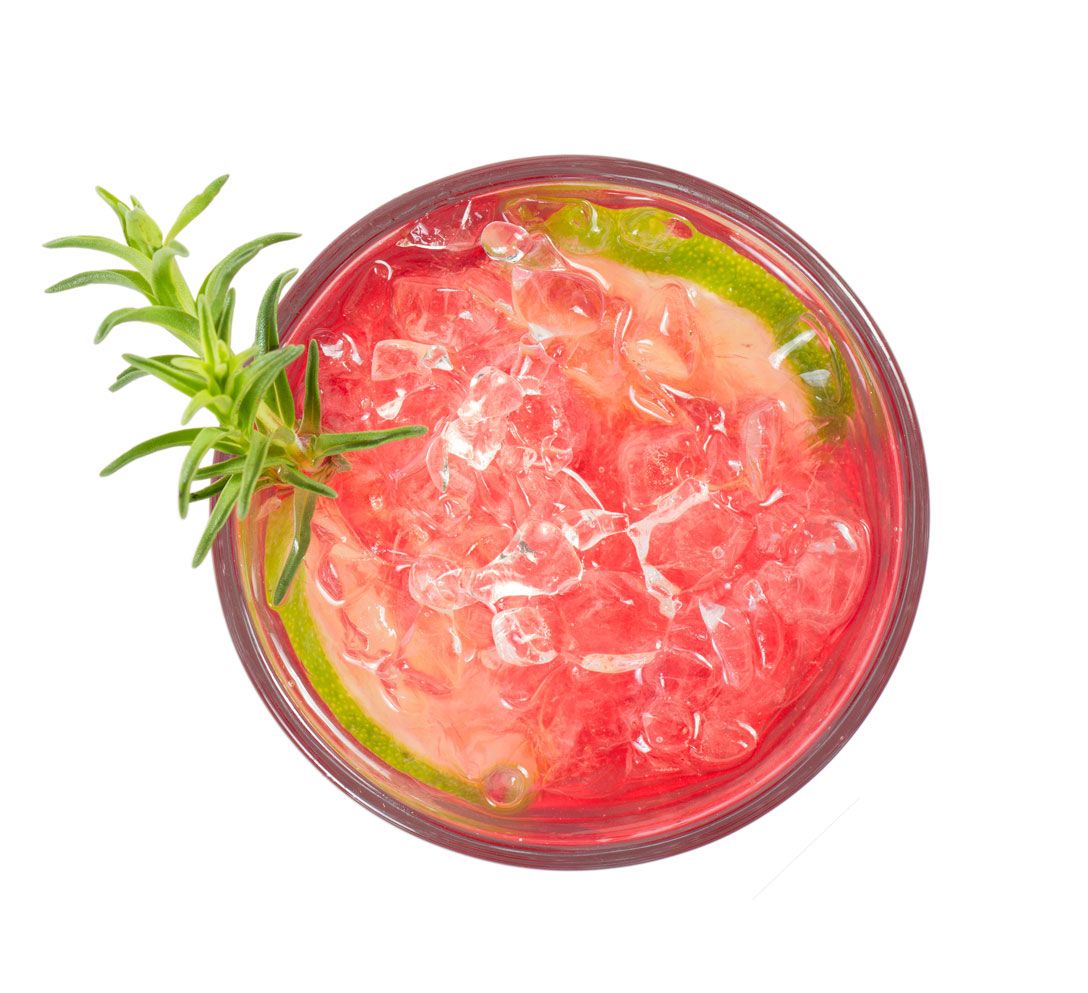 Premium Pea Protein Supplier | Plant-Based Nutrition | Norben