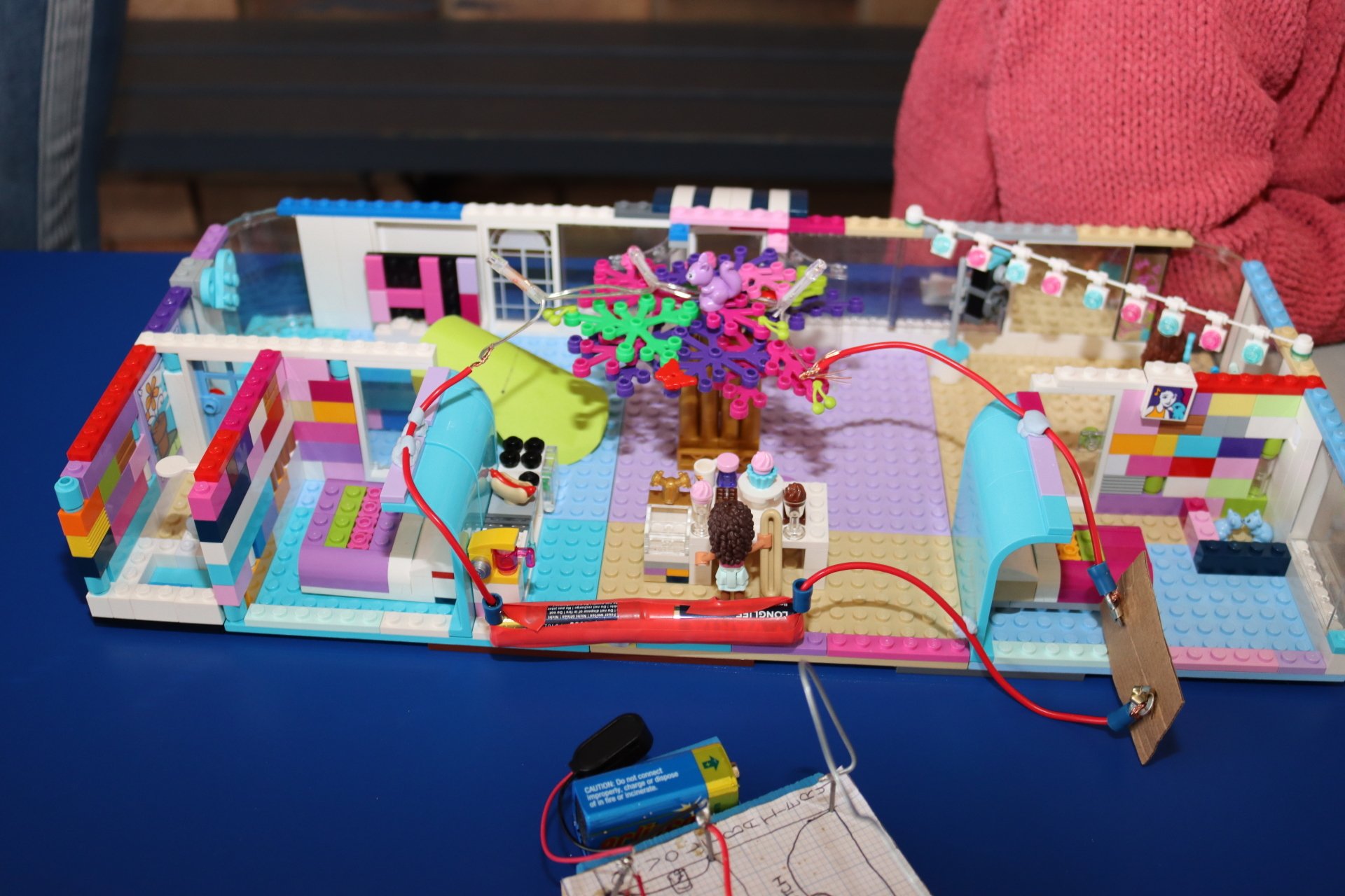 Year 6: Science Project