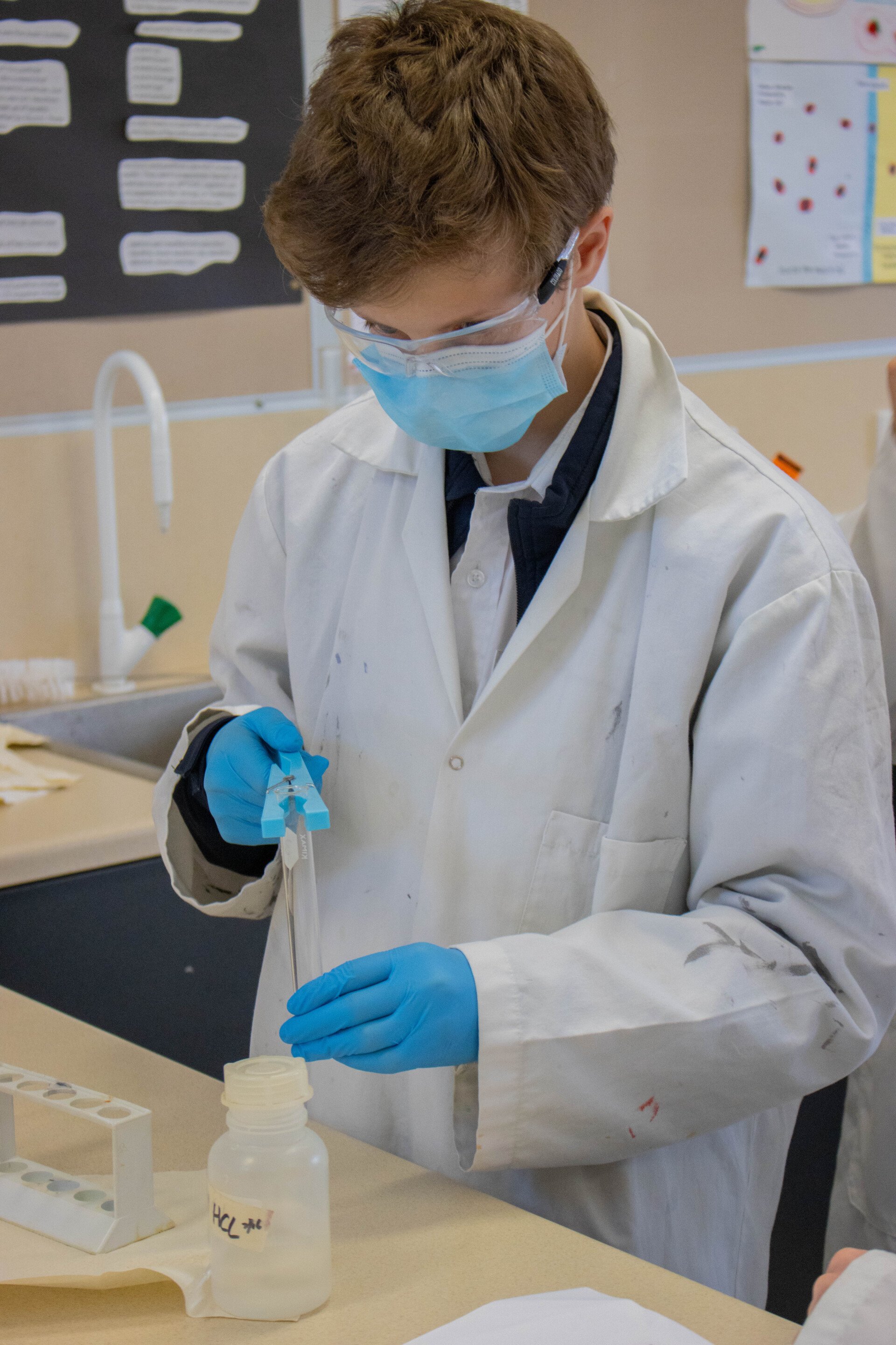 Year 8 Science: Chemical Reactions