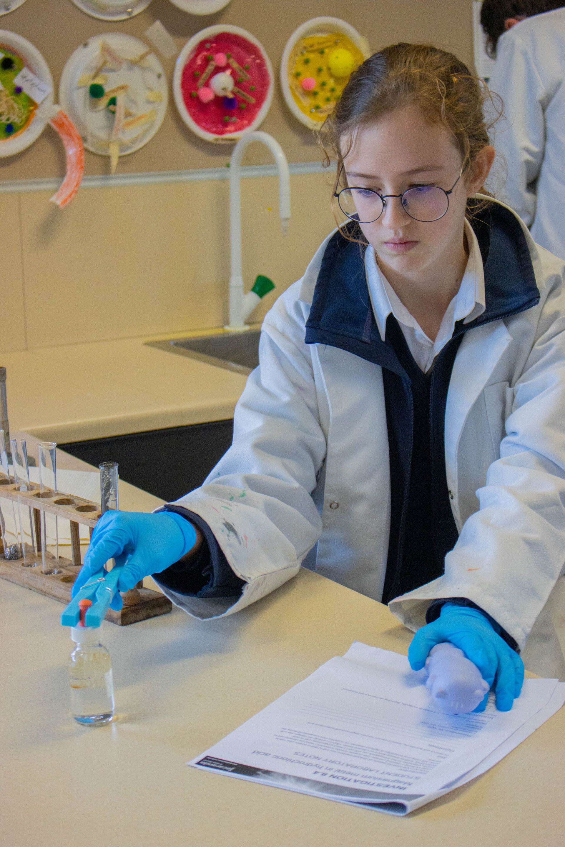 Year 8 Science: Chemical Reactions