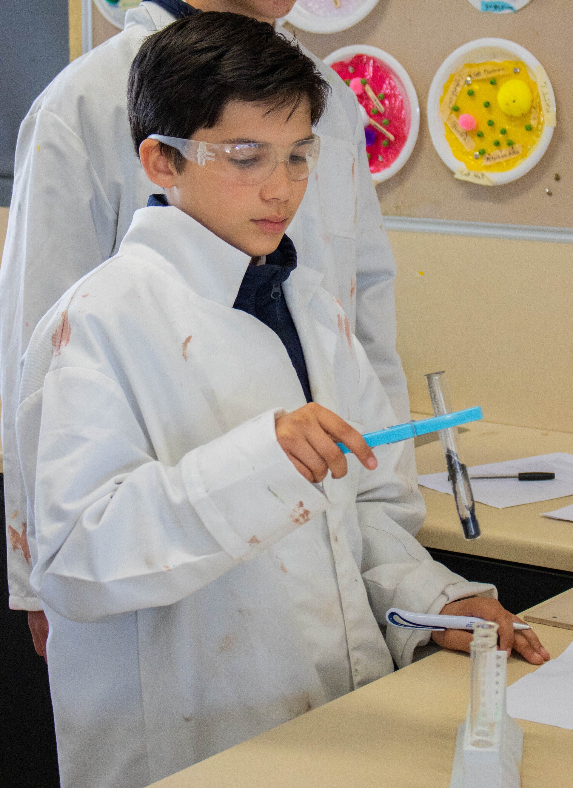 Year 8 Science: Chemical Reactions