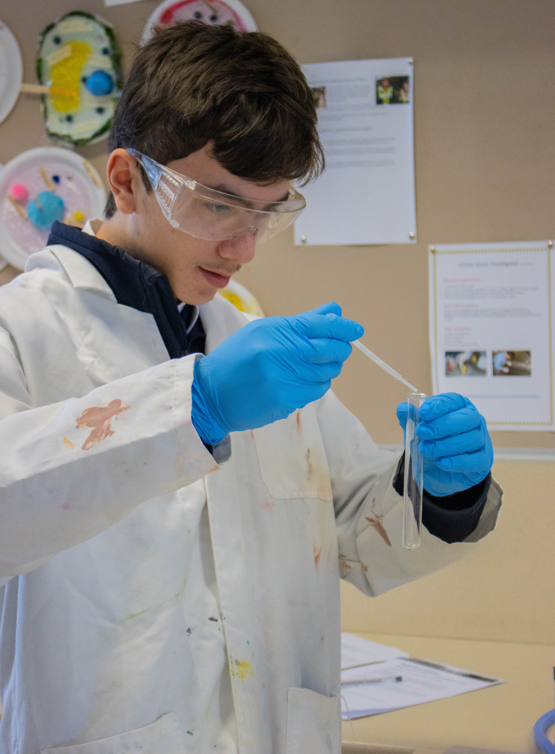 Year 8 Science: Chemical Reactions