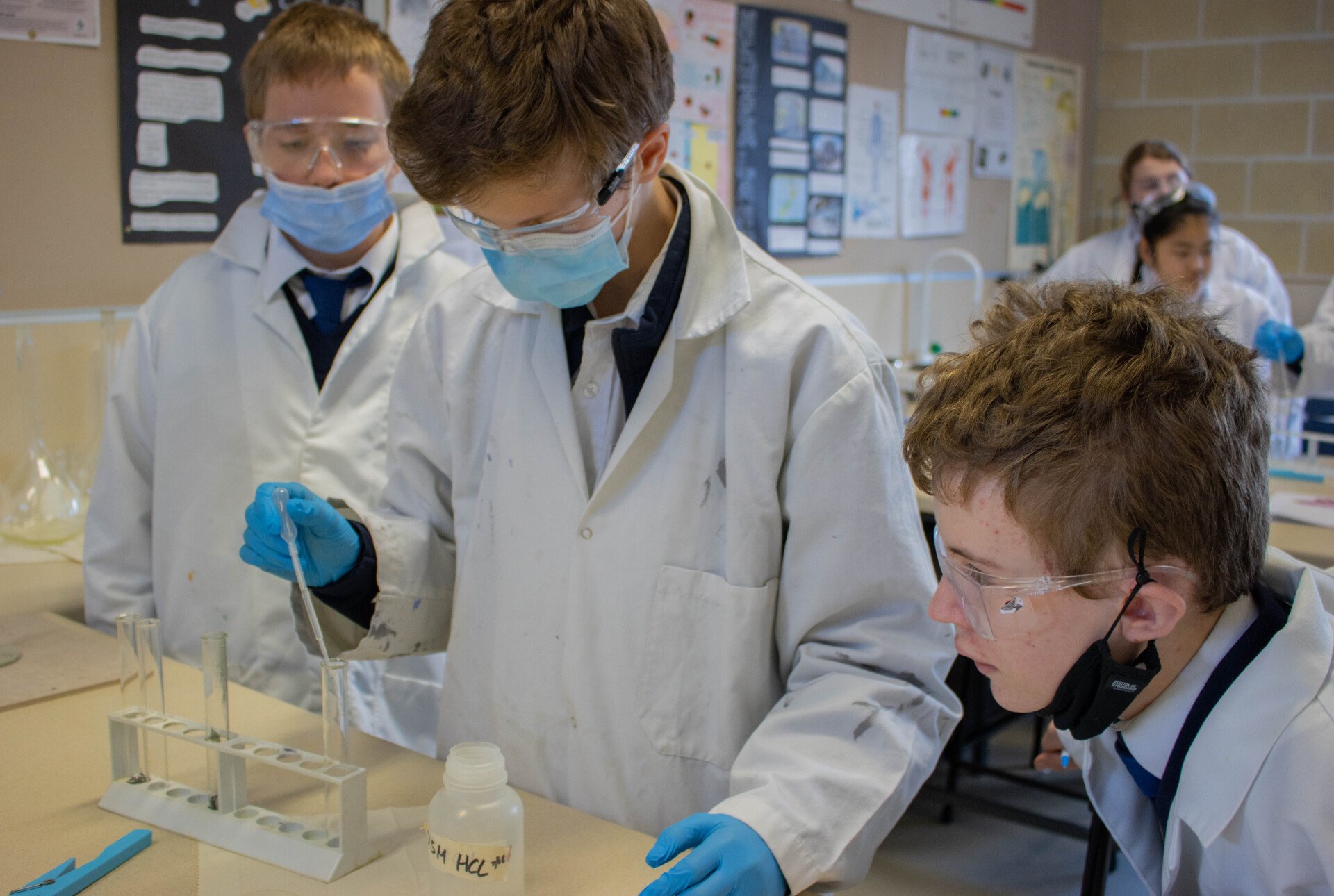 Year 8 Science: Chemical Reactions