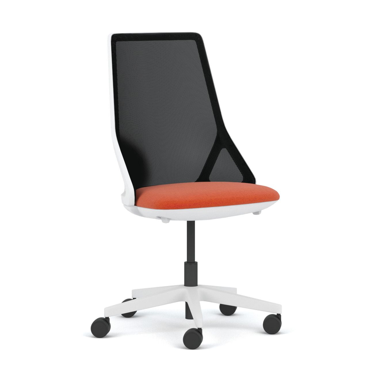 Cicero Collection | Pledge