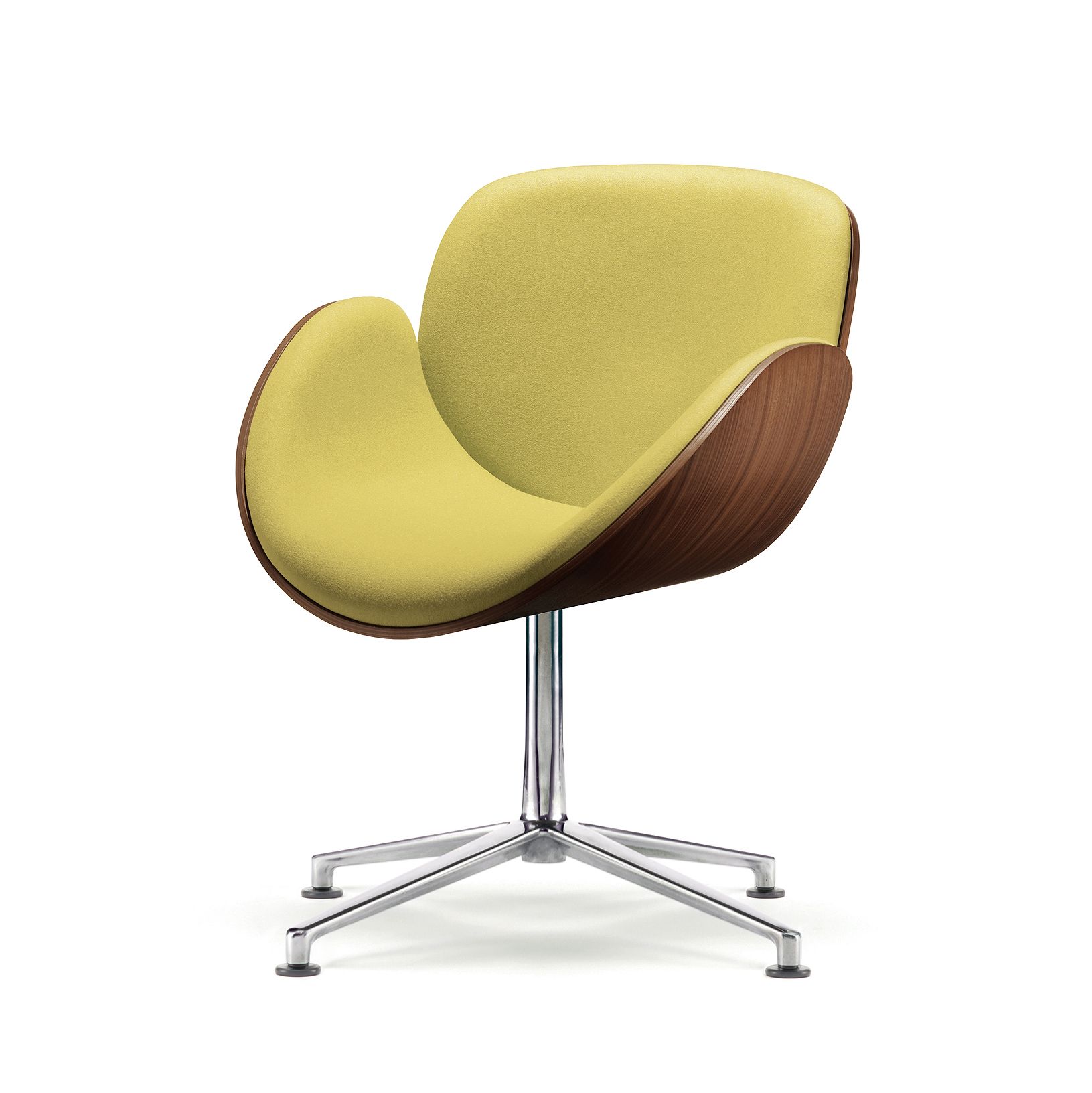 Spirit collection | Pledge