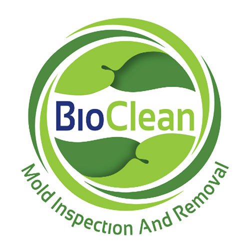 Mold Removal Services - BioClean CT - Removal, Remediation, Inspections