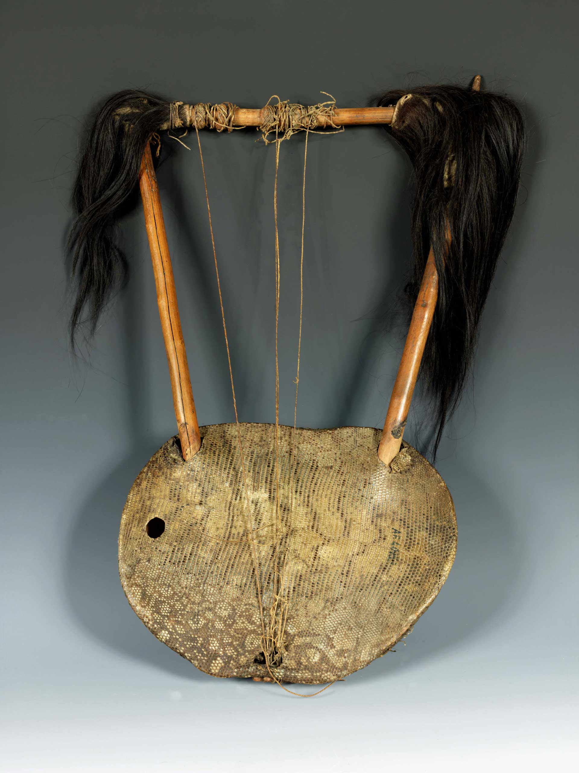 Two African Lirae | Patrons of the Arts in the Vatican Museums