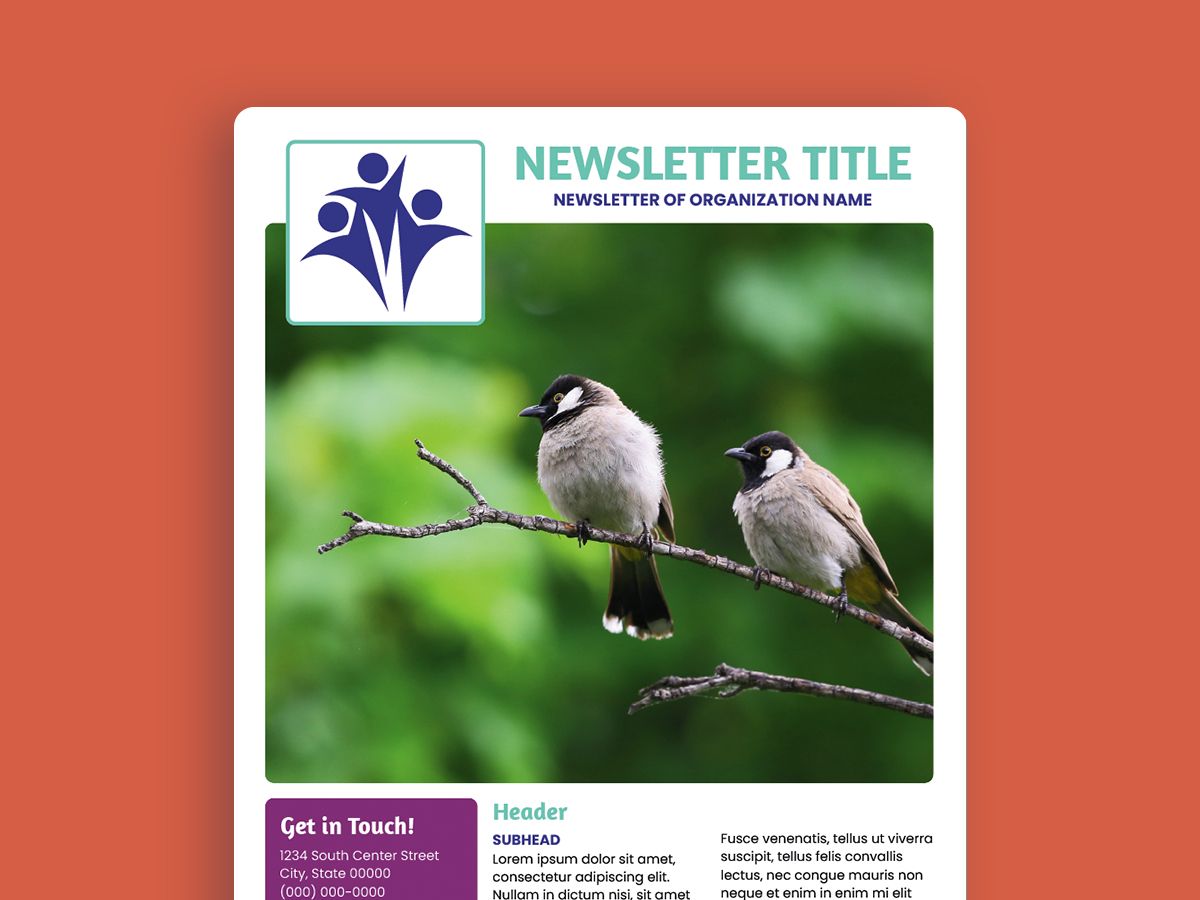 Canva Pro Templates for Your Newsletter | LPi