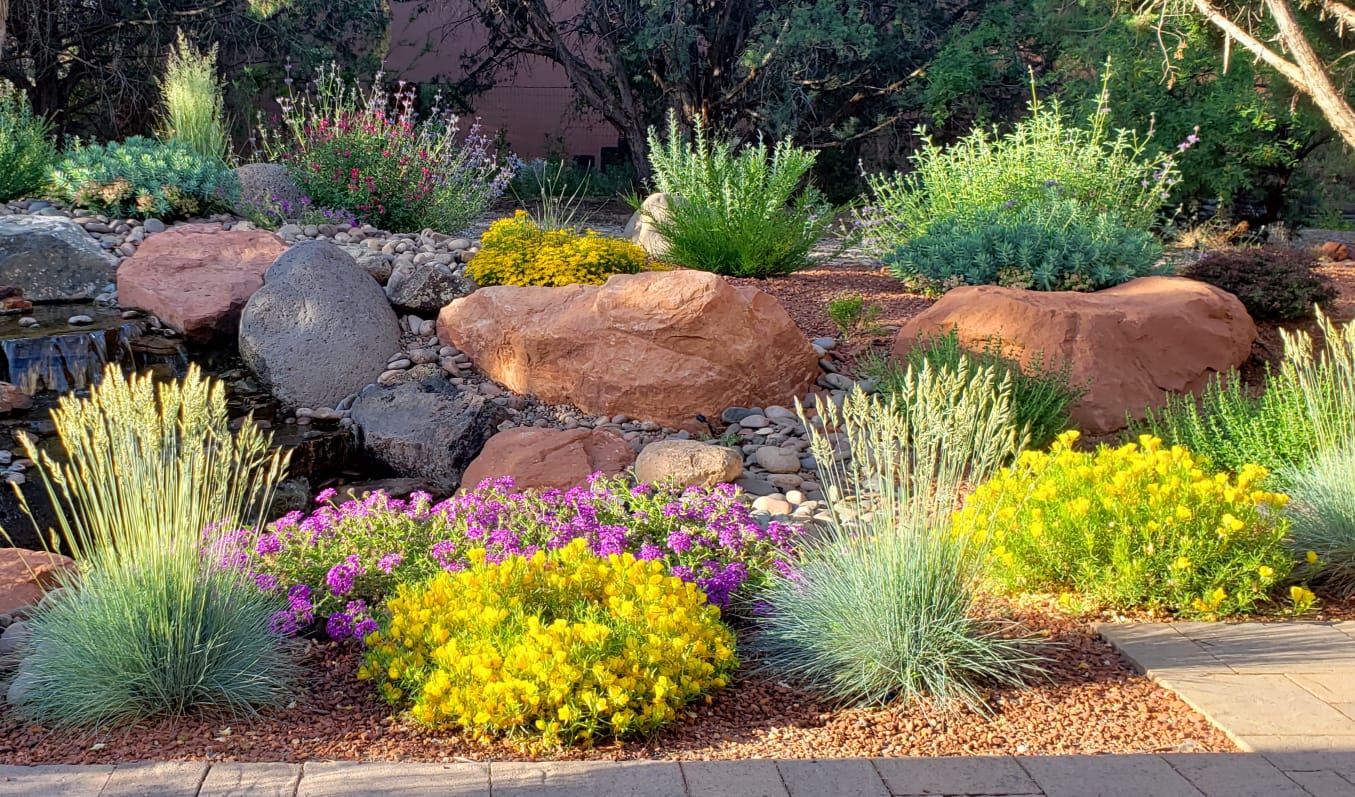 Joshua Tree & Landscape Company - Work Gallery Sedona & Prescott ...