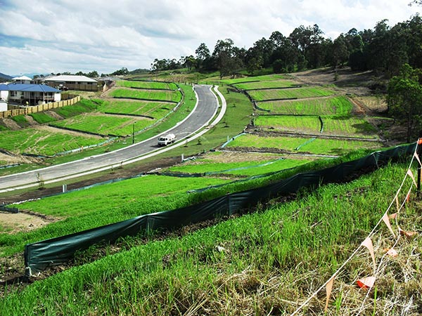 Subdivision Landscaping | Brisbane