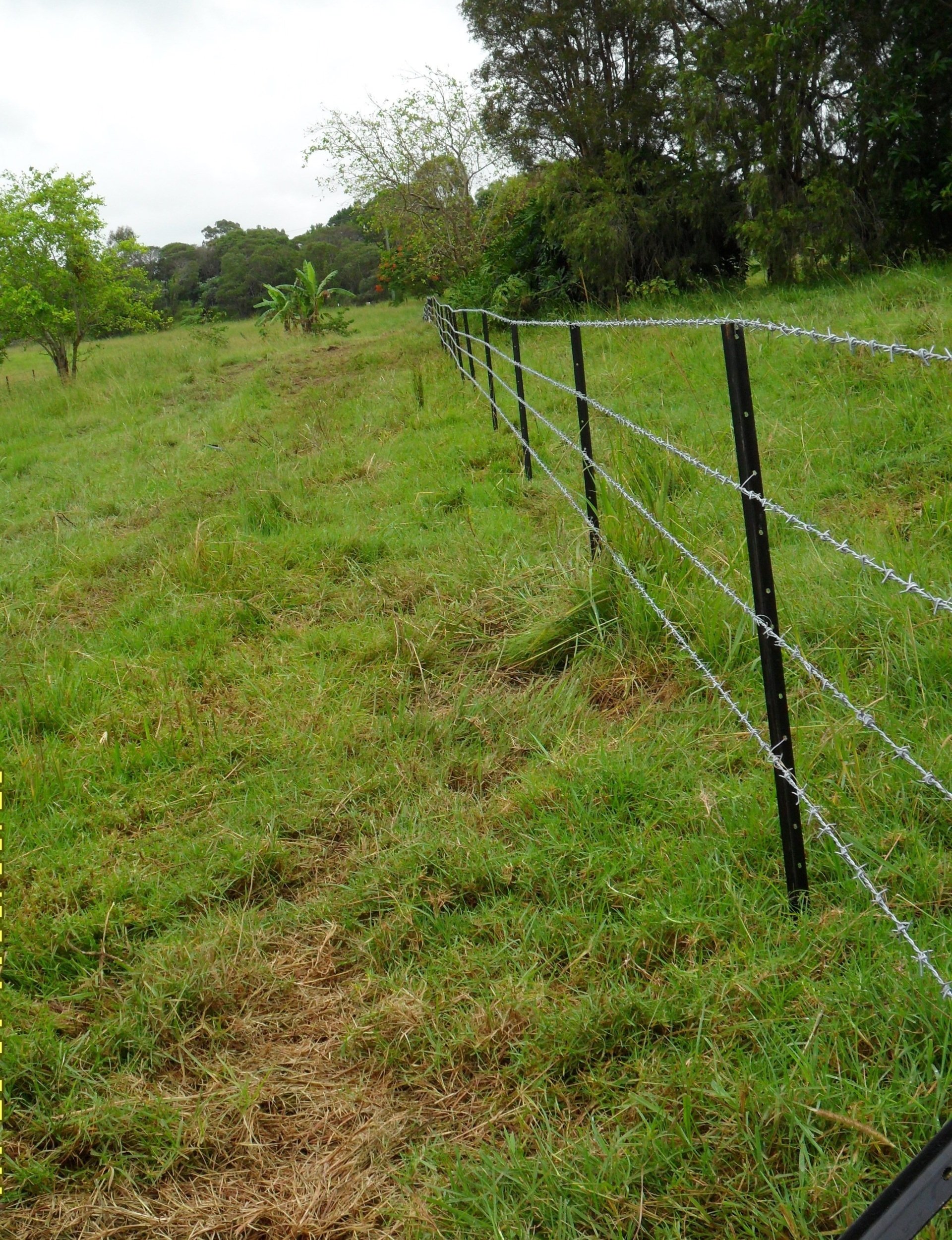 Rural Fencing | Brisbane