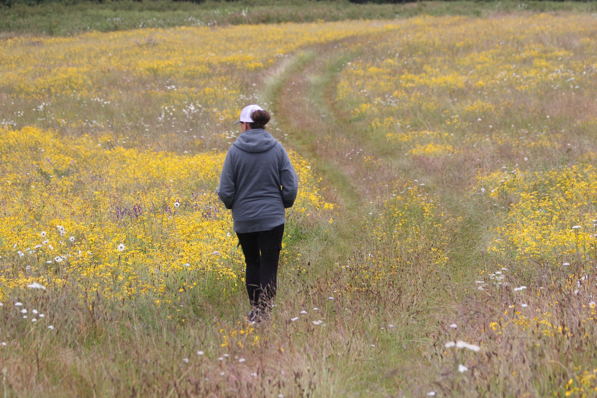 For Love Of The Vanishing Prairie