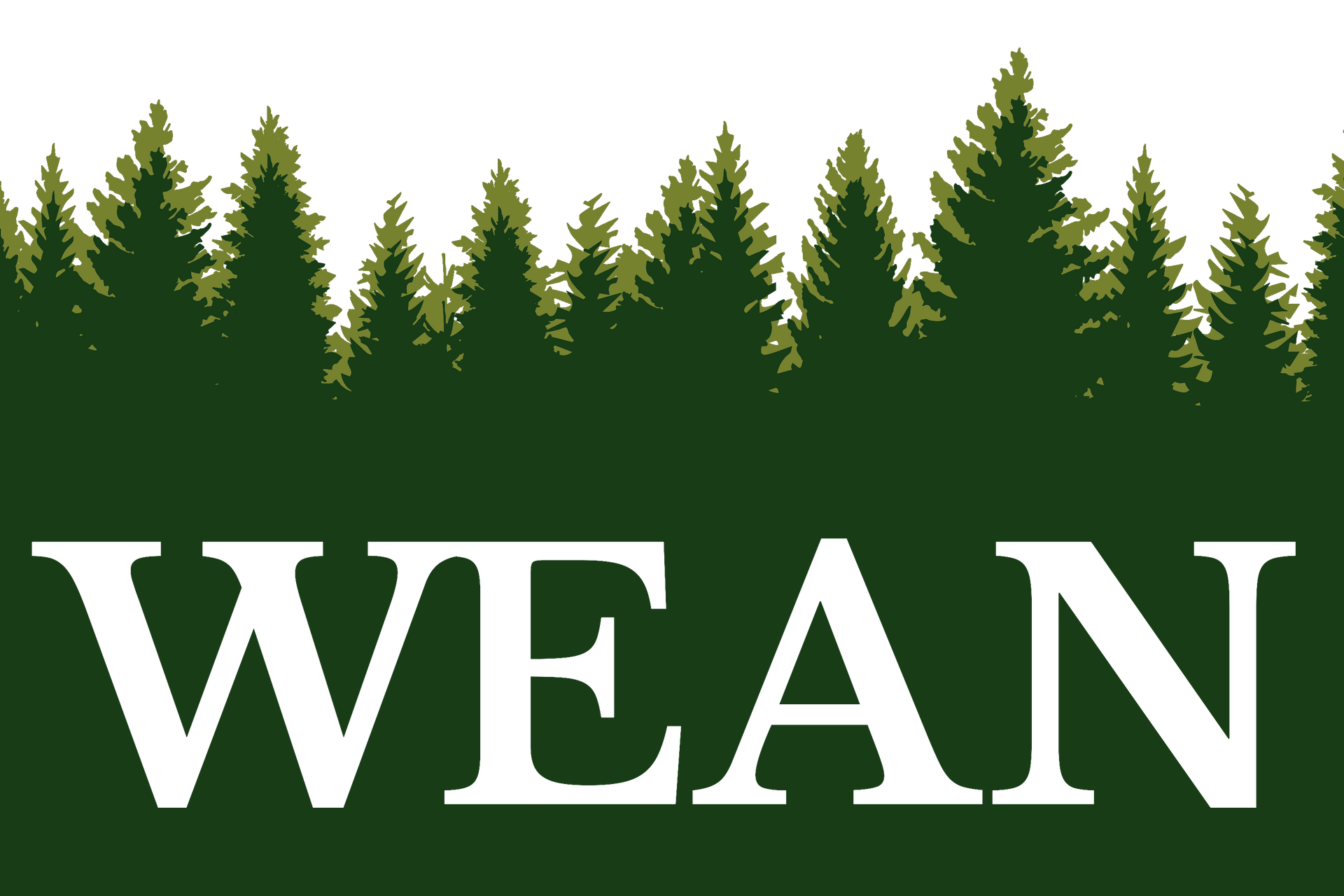 Report toad sightings and violations to WEAN