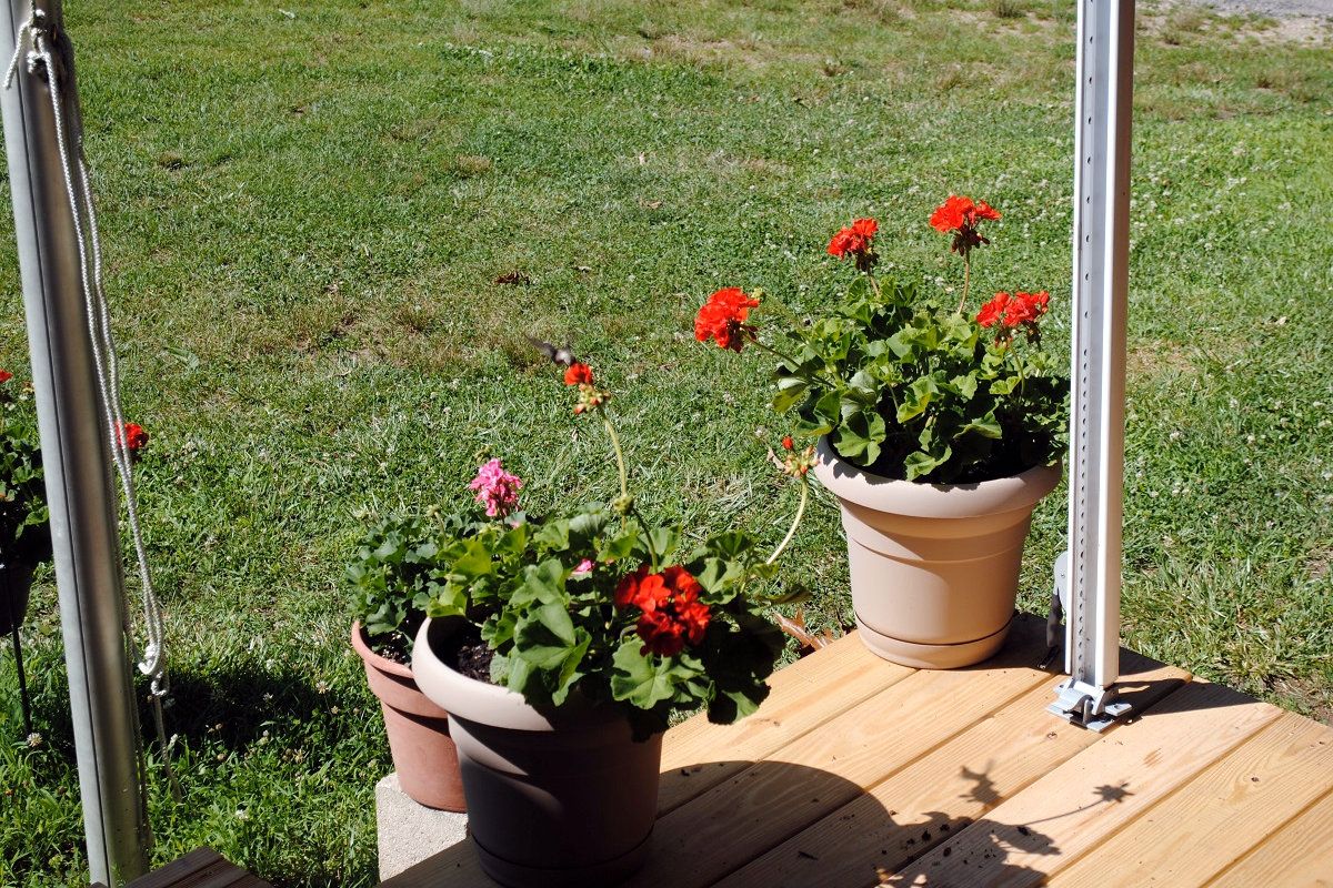 Camper's Candids - Gallery - Colaluca Family Campground