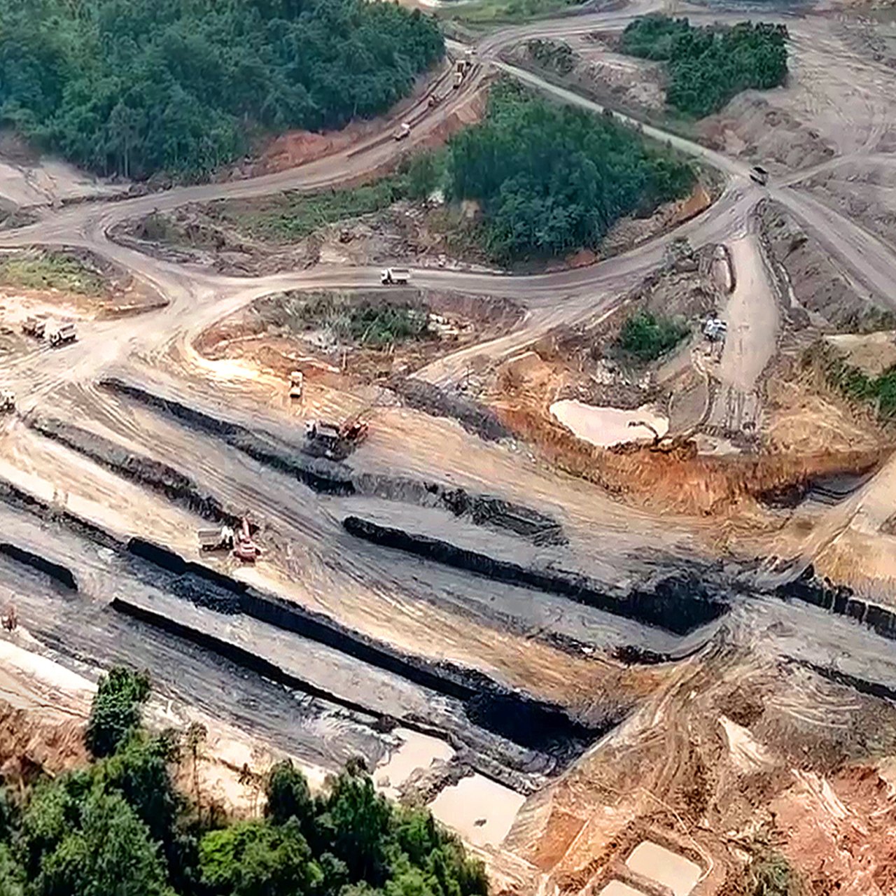 PT. Coalindo Adhi Perkasa