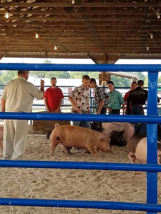 Mecosta County Free Fair - Big Rapids, MI - Home