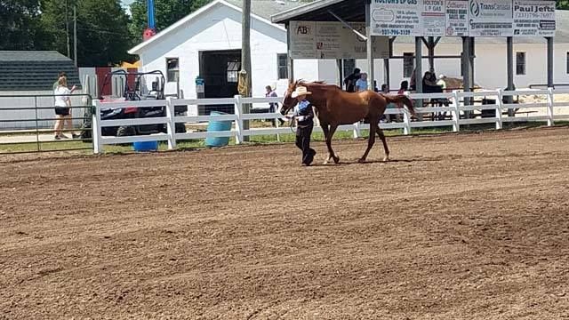 Mecosta County Free Fair - Big Rapids, MI - Home