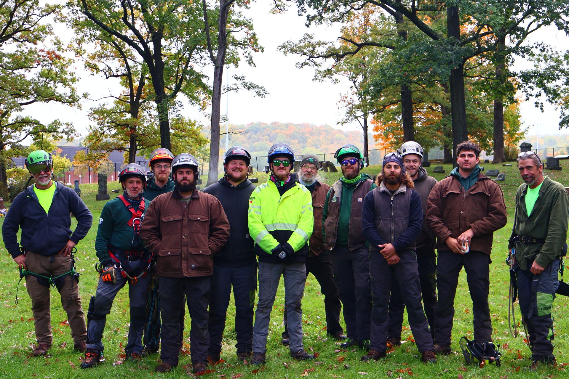 Tree Care & Removal | Walker Tree Care Inc - Proudly Serving Central ...