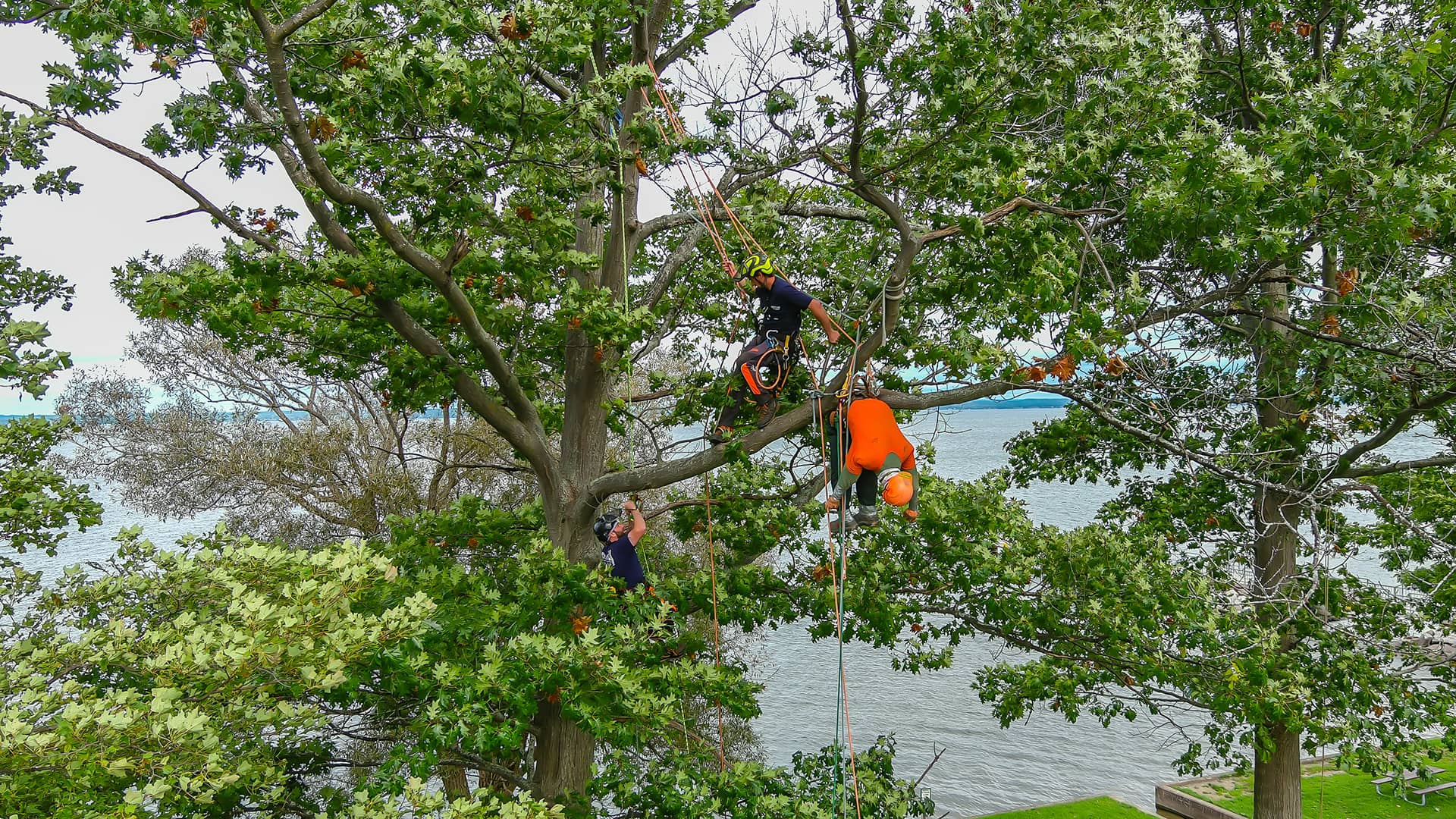 Our Team | Walker Tree Care Inc. - Chittenango, NY