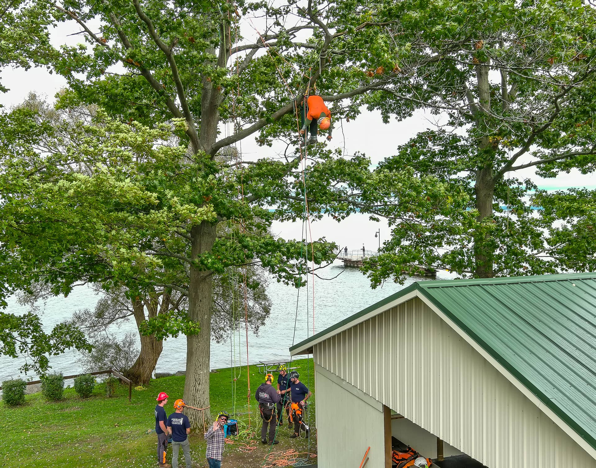 Our Team | Walker Tree Care Inc. - Chittenango, NY