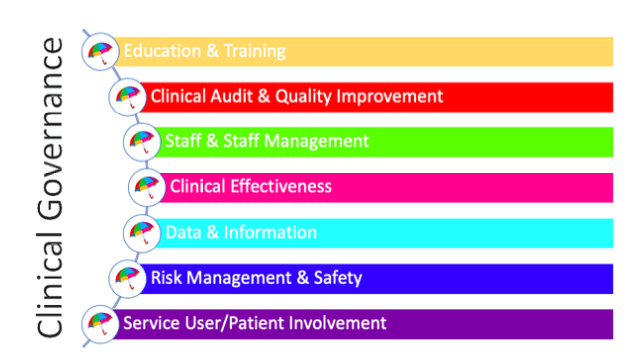 What Are The 7 Pillars of Clinical Governance