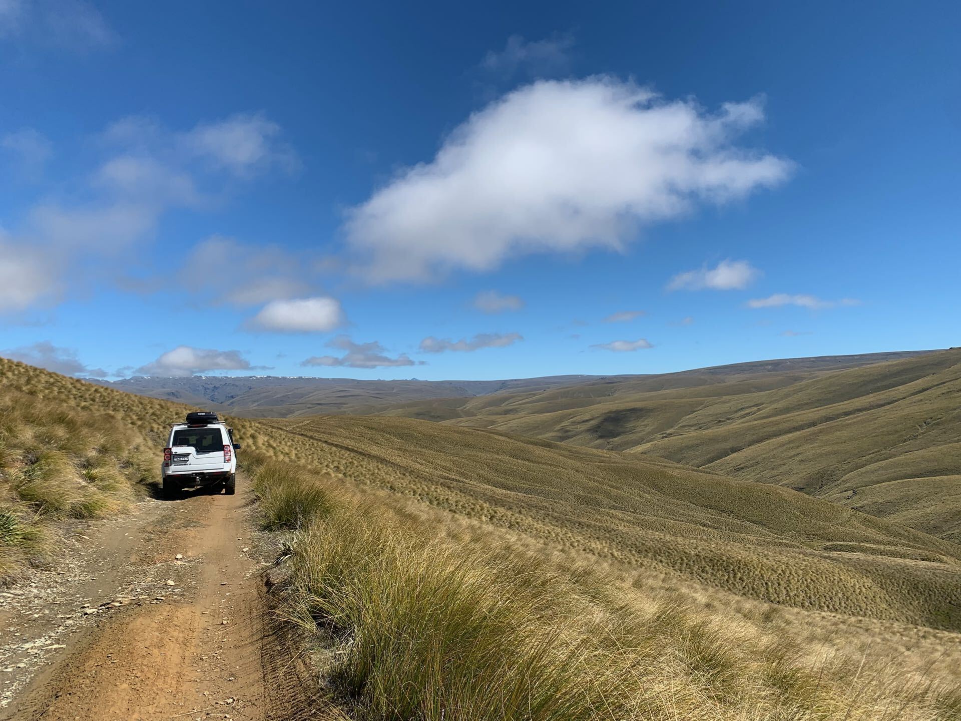 Private guided Waikaia Bush Road 4WD passenger tours