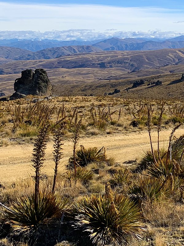 Private guided Old Man Range Kopuwai 4WD passenger tour