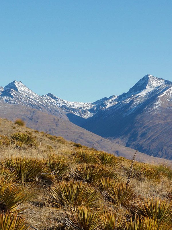 Private guided Old Man Range Kopuwai 4WD passenger tour