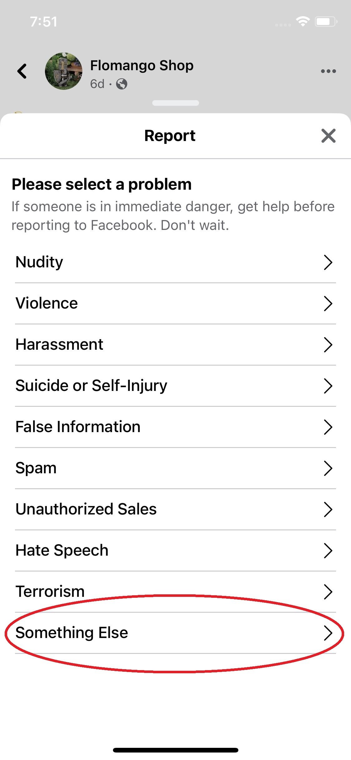 Product or art photos stolen to run a Facebook ad scam?