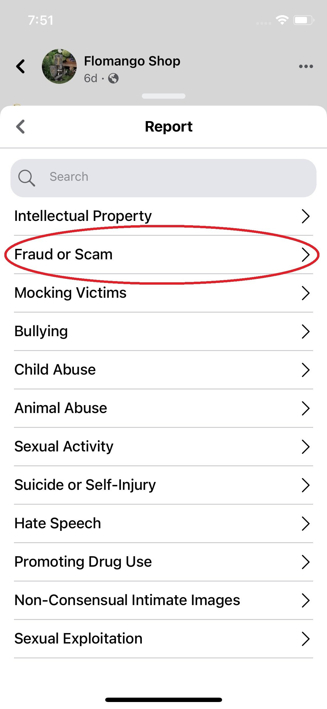 Product or art photos stolen to run a Facebook ad scam?