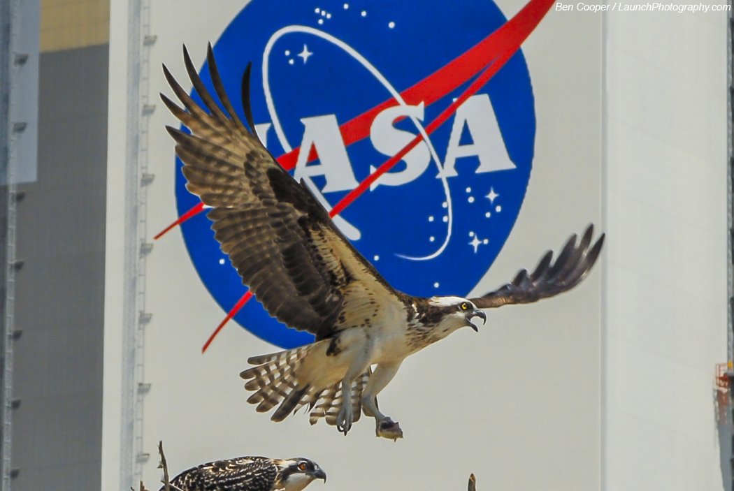 STS-117 Atlantis ISS solar array launch photos